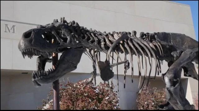 Braquiossauro Terra Nova Empirosaur | Terra Nova Wiki | Fandom