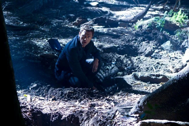 Pilgrim's Tree | Terra Nova Wiki | Fandom