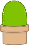 Cactus | Terrapedia, the Object Terror Wiki | Fandom