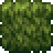 Мох | Terraria Calamity Mod вики | Fandom