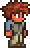Personaje principal - Wiki Terraria