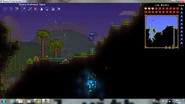 Derpling | Terraria Wiki | Fandom