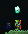 Black Cat | Terraria Wiki | Fandom