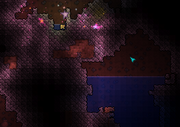 Star Cloak | Terraria Wiki | Fandom