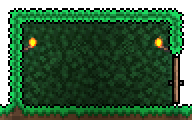 Grass Wall | Terraria Wiki | Fandom