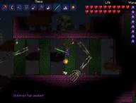 Skeletron | Terraria Wiki | Fandom