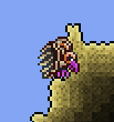 Vulture | Terraria Wiki | Fandom