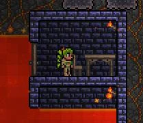 Wooden Door | Terraria Wiki | Fandom