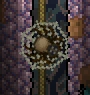 Pet Spider | Terraria Wiki | Fandom