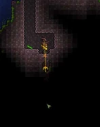 Snatcher | Terraria Wiki | Fandom