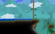 Water Chest | Terraria Wiki | Fandom