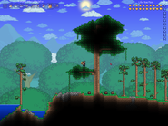 Living Wood | Terraria Wiki | Fandom