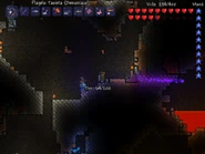 Tim | Terraria Wiki | Fandom