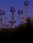 Diamond | Terraria Wiki | Fandom