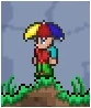 Umbrella Hat | Terraria Wiki | Fandom
