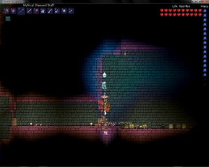 Paladin | Terraria Wiki | Fandom