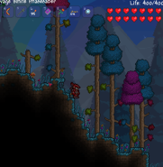 Tree | Terraria Wiki | Fandom
