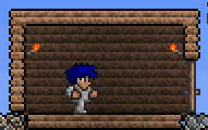 Wood Wall | Terraria Wiki | Fandom