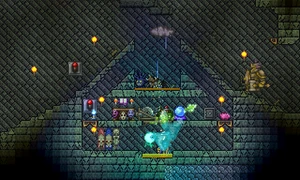 Paladin | Terraria Wiki | Fandom