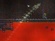 Worms Family | Terraria Wiki | Fandom