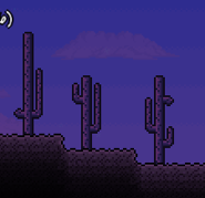 Cactus | Terraria Wiki | Fandom