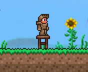 Escalerilla - Wiki Terraria