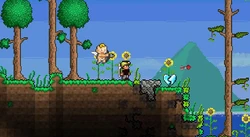 Broken Heart Crystal | Terraria Wiki | Fandom