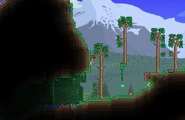 Climbing Claws | Terraria Wiki | Fandom