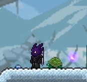 Pet Turtle | Terraria Wiki | Fandom