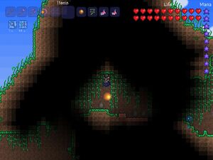 Alchemy | Terraria Wiki | Fandom