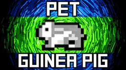 Pet Guinea Pig | Terraria Wiki | Fandom