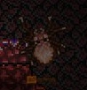 Blood Crawler | Terraria Wiki | Fandom