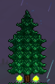 Pine Tree Block | Terraria Wiki | Fandom
