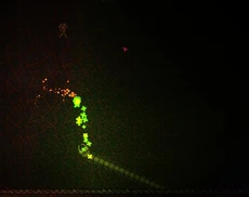 Clinger | Terraria Wiki | Fandom