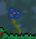 Sky Blue Flower | Terraria Wiki | Fandom