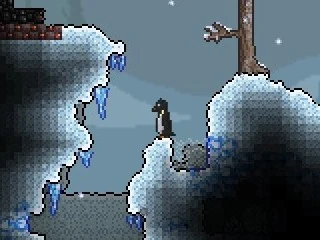 Penguin | Terraria Wiki | Fandom