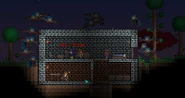 Harpy | Terraria Wiki | Fandom