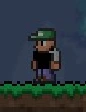 Green Cap | Terraria Wiki | Fandom