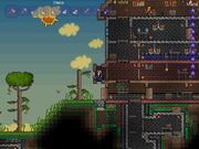 House Defense | Terraria Wiki | Fandom