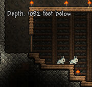 Bunny (Monster) | Terraria Wiki | Fandom