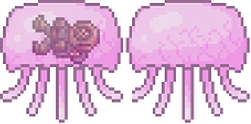 how to make the queen jellyfish in terraria