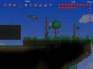 Harpy | Terraria Wiki | Fandom