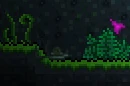 Snail | Terraria Wiki | Fandom