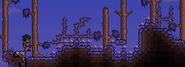 Vile Mushroom | Terraria Wiki | Fandom