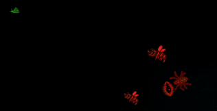 Hunter Potion | Terraria Wiki | Fandom