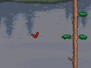 Cardinal | Terraria Wiki | Fandom