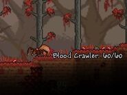 Blood Crawler | Terraria Wiki | Fandom