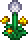 Angry Dandelion | Terraria Wiki | Fandom