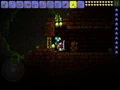 Lihzahrd Temple | Terraria Wiki | Fandom