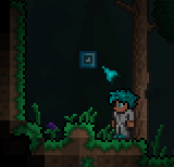 Ice Rod | Terraria Wiki | Fandom